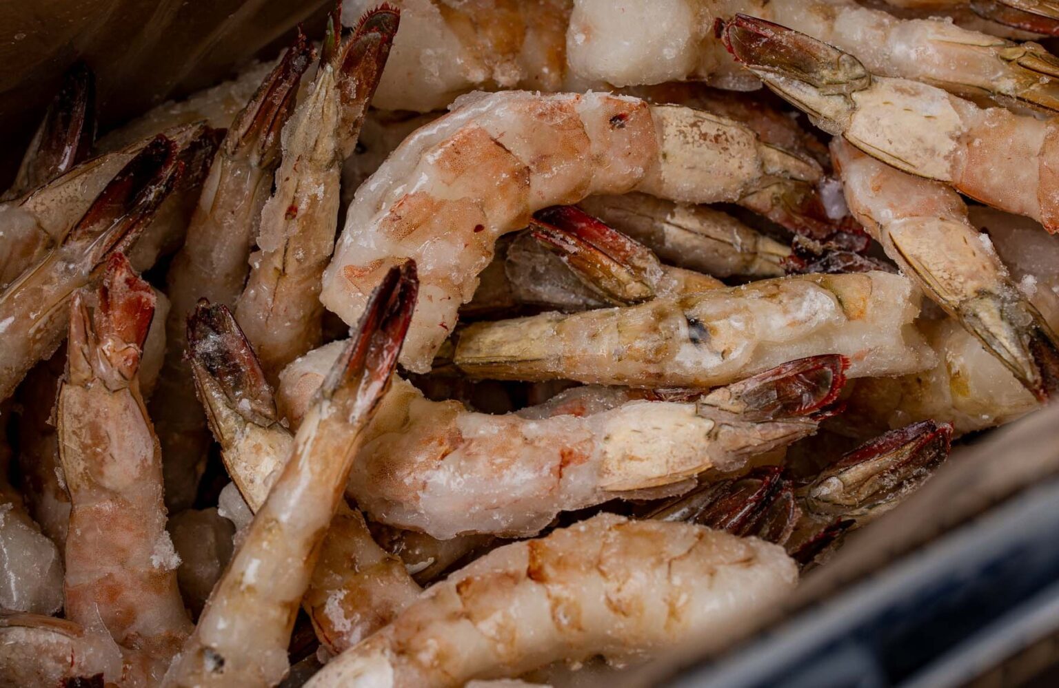 About - South Coast Seafoods Co., Inc.
